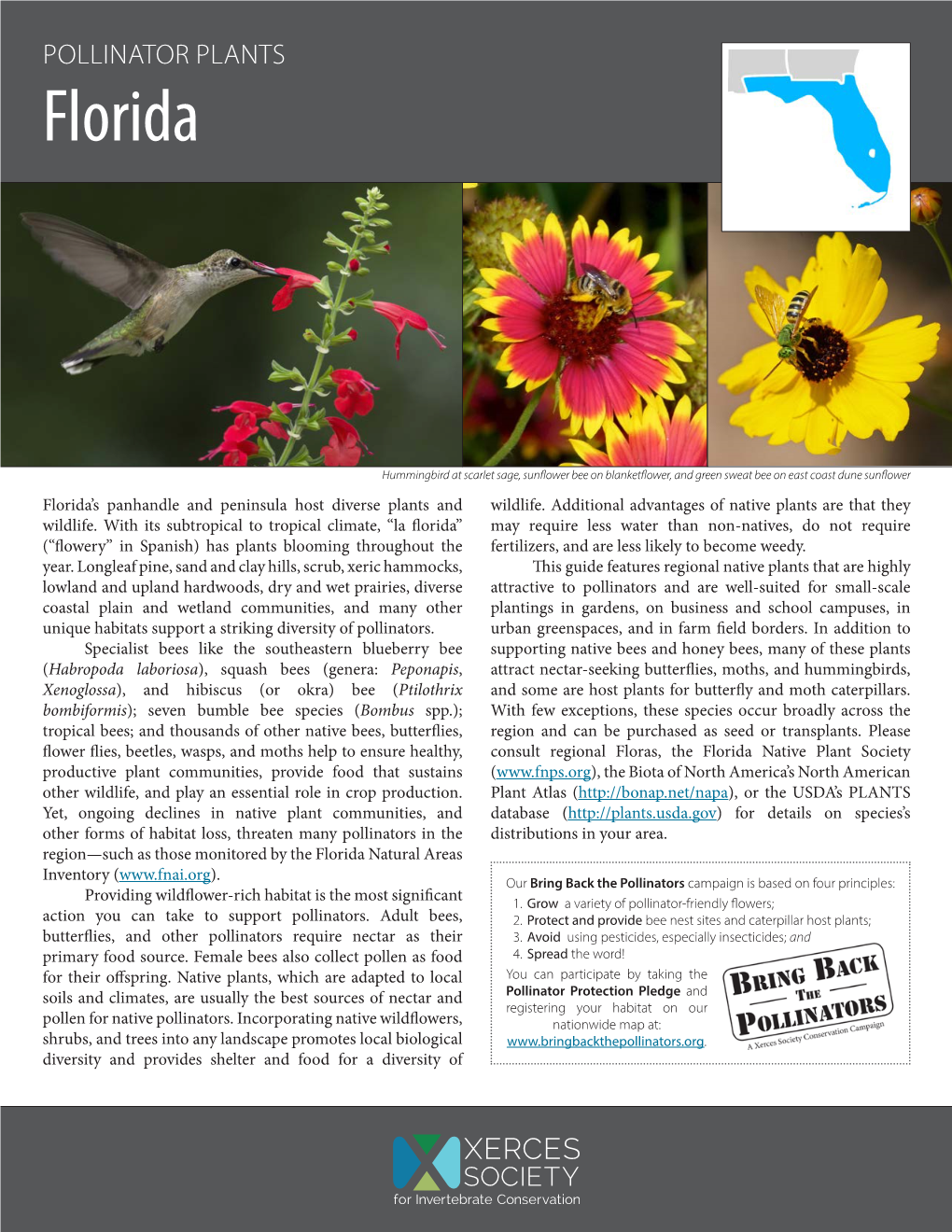 Florida Native Pollinator Plants - DocsLib