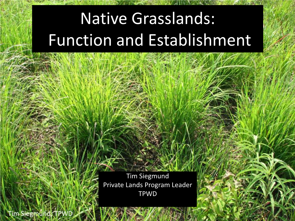 Native Grasslands Structure and Function - DocsLib