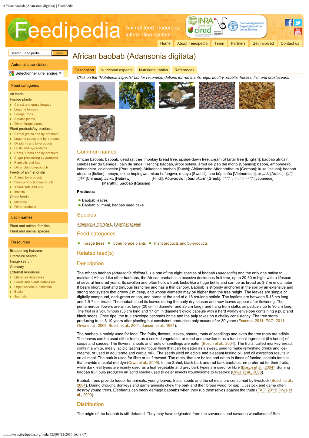 African Baobab (Adansonia Digitata) | Feedipedia - DocsLib
