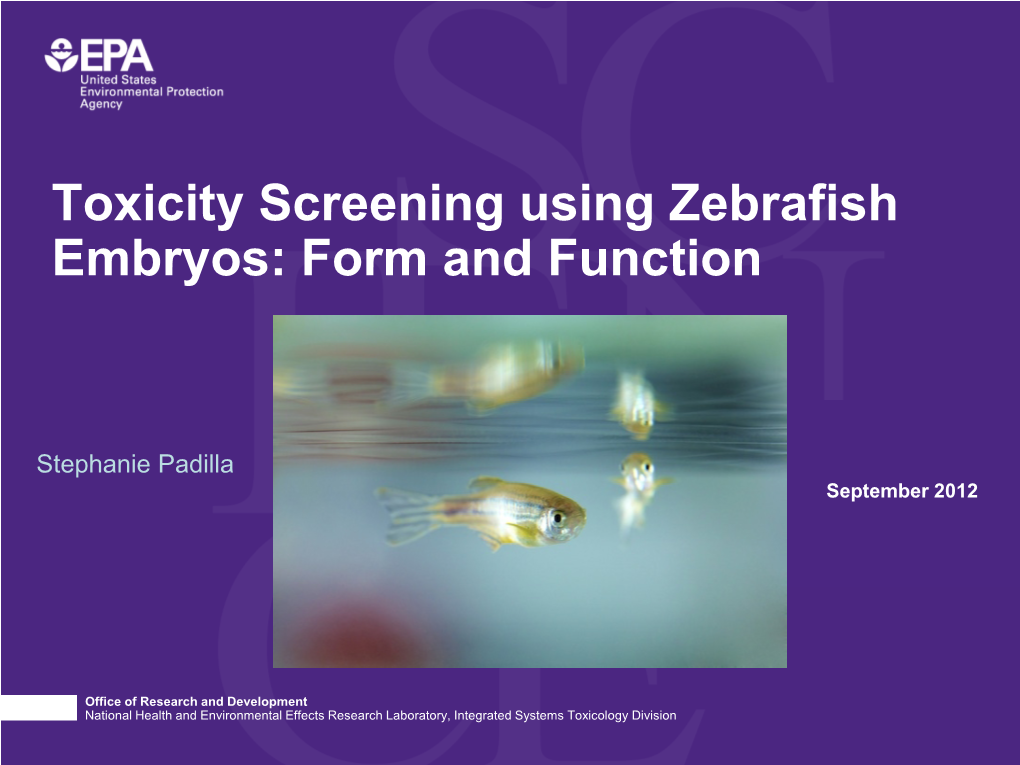 Toxicity Screening Using Zebrafish Embryos: Form and Function - DocsLib