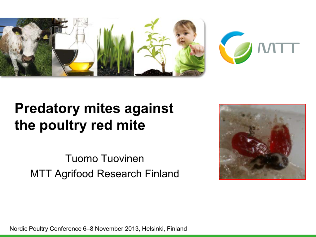 Hypoaspis Miles) • Layer House Experiments • Cage and Free-Range ...