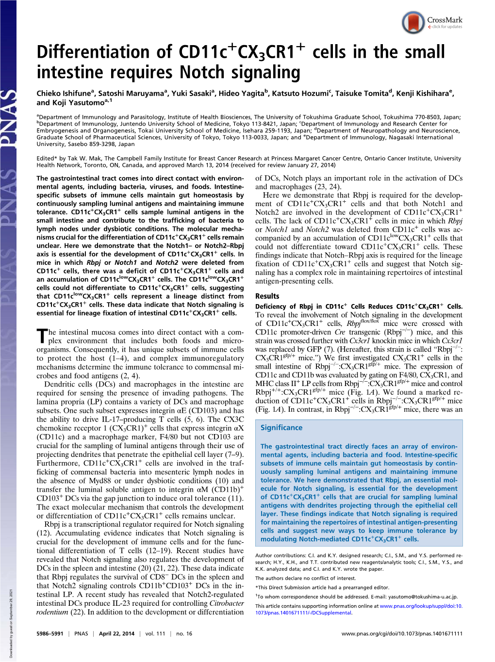 Differentiation of Cd11c CX3CR1 Cells in the Small Intestine Requires ...