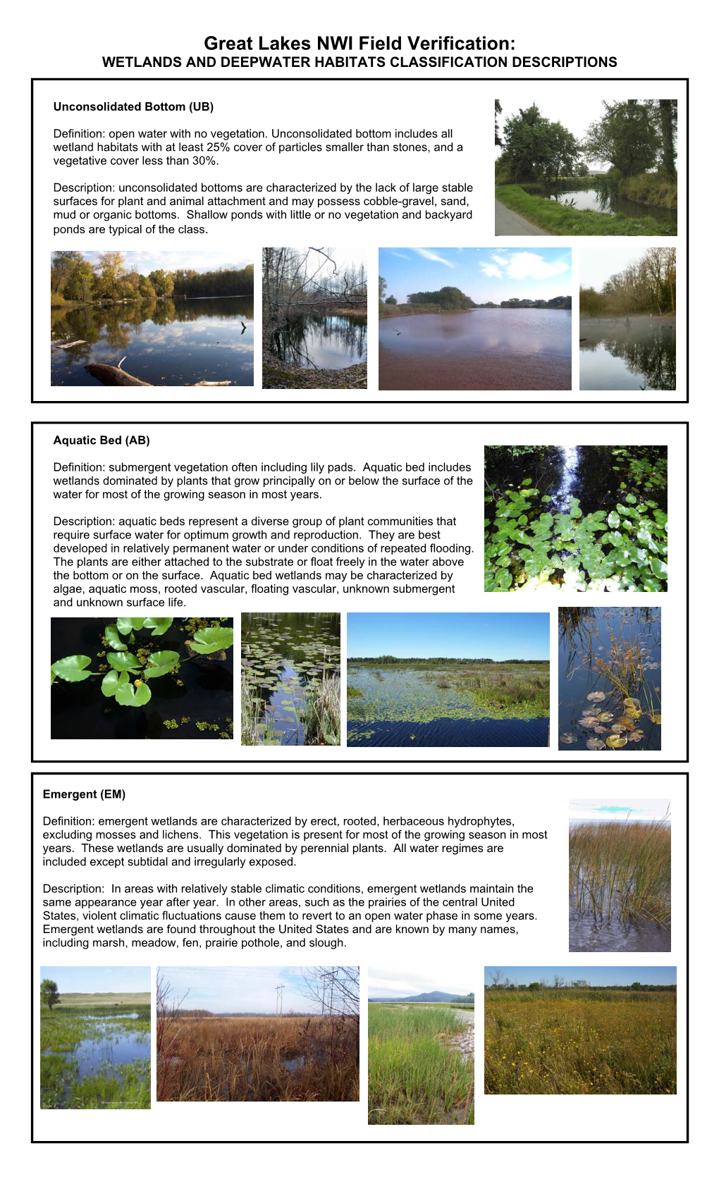 Great Lakes NWI Field Verification: WETLANDS and DEEPWATER HABITATS ...