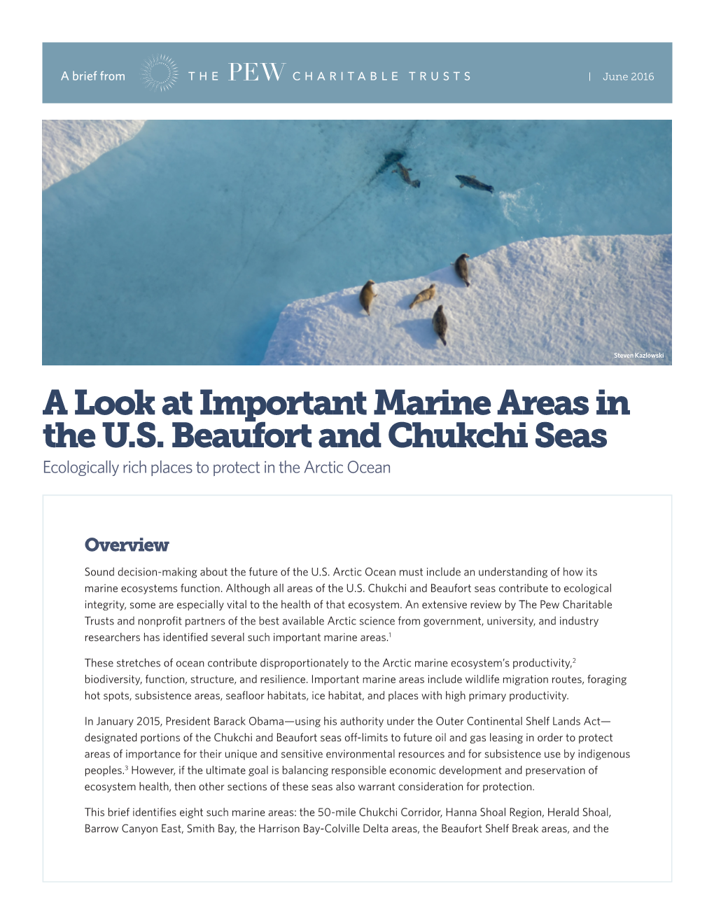 A Look at Important Marine Areas in the U.S. Beaufort and Chukchi Seas ...