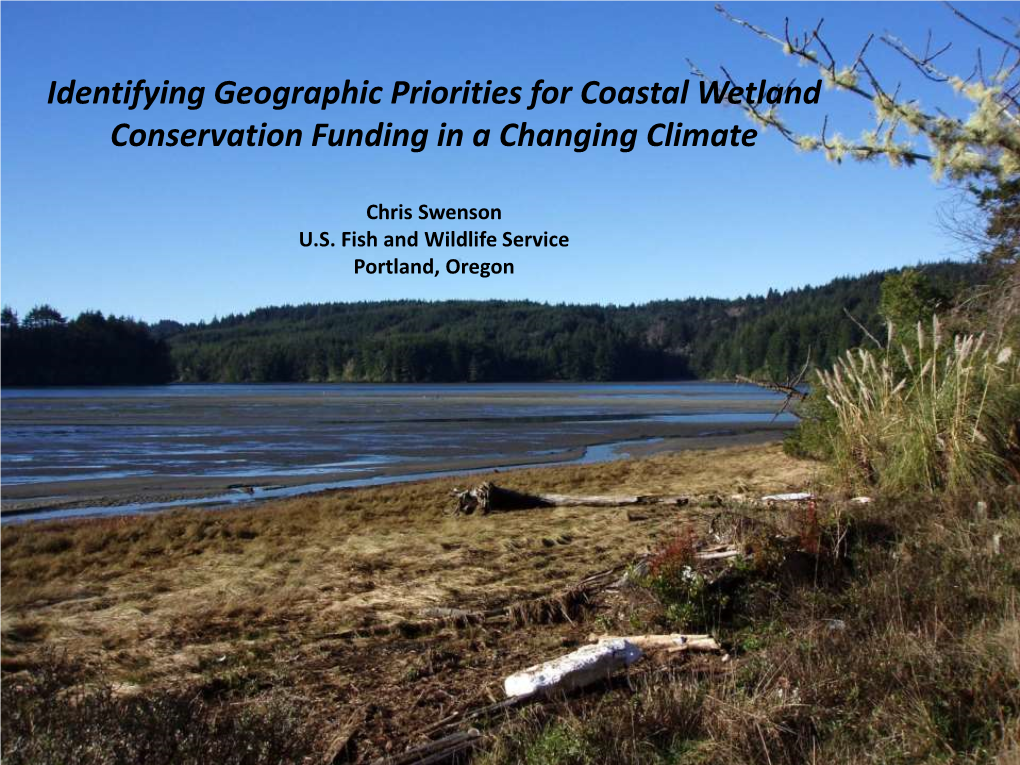 Identifying Geographic Priorities for Coastal Wetland Conservation ...