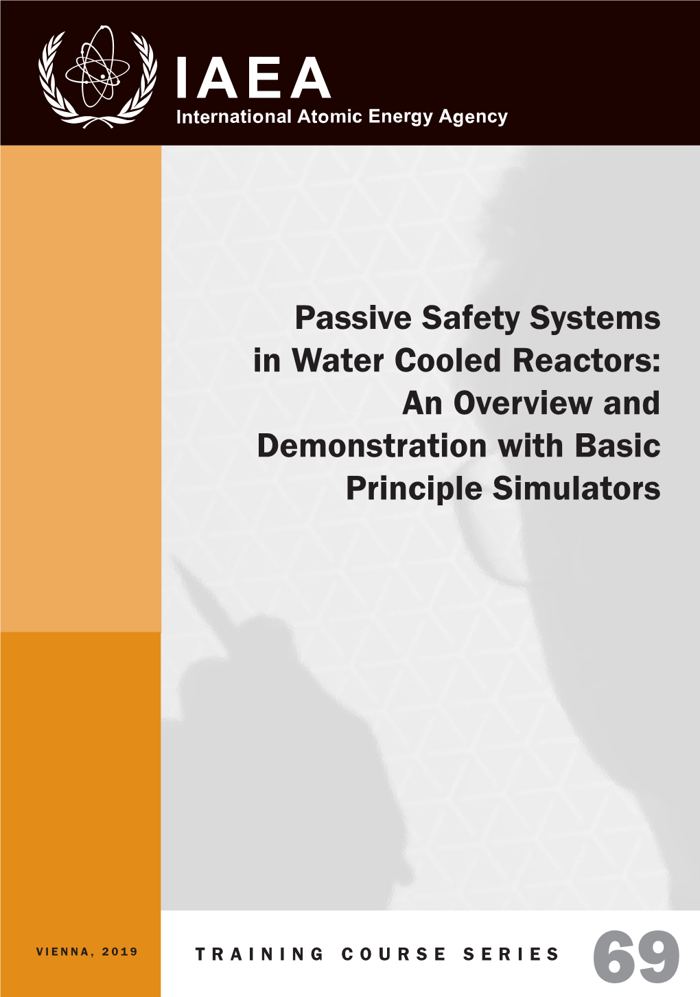 Passive Safety Systems in Water Cooled Reactors: an Overview and ...