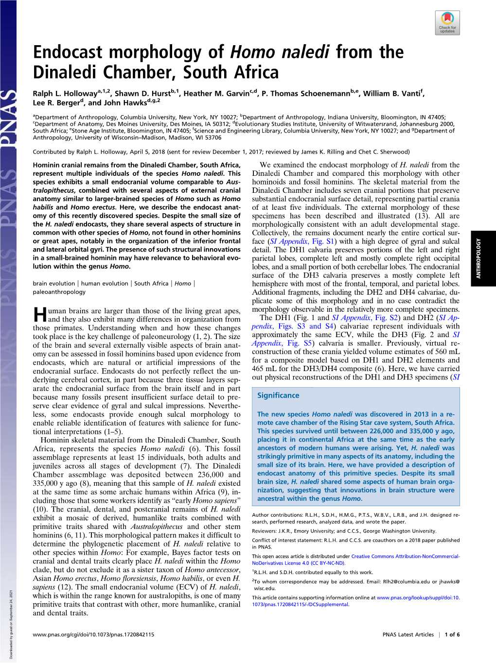 Endocast Morphology of Homo Naledi from the Dinaledi Chamber, South ...