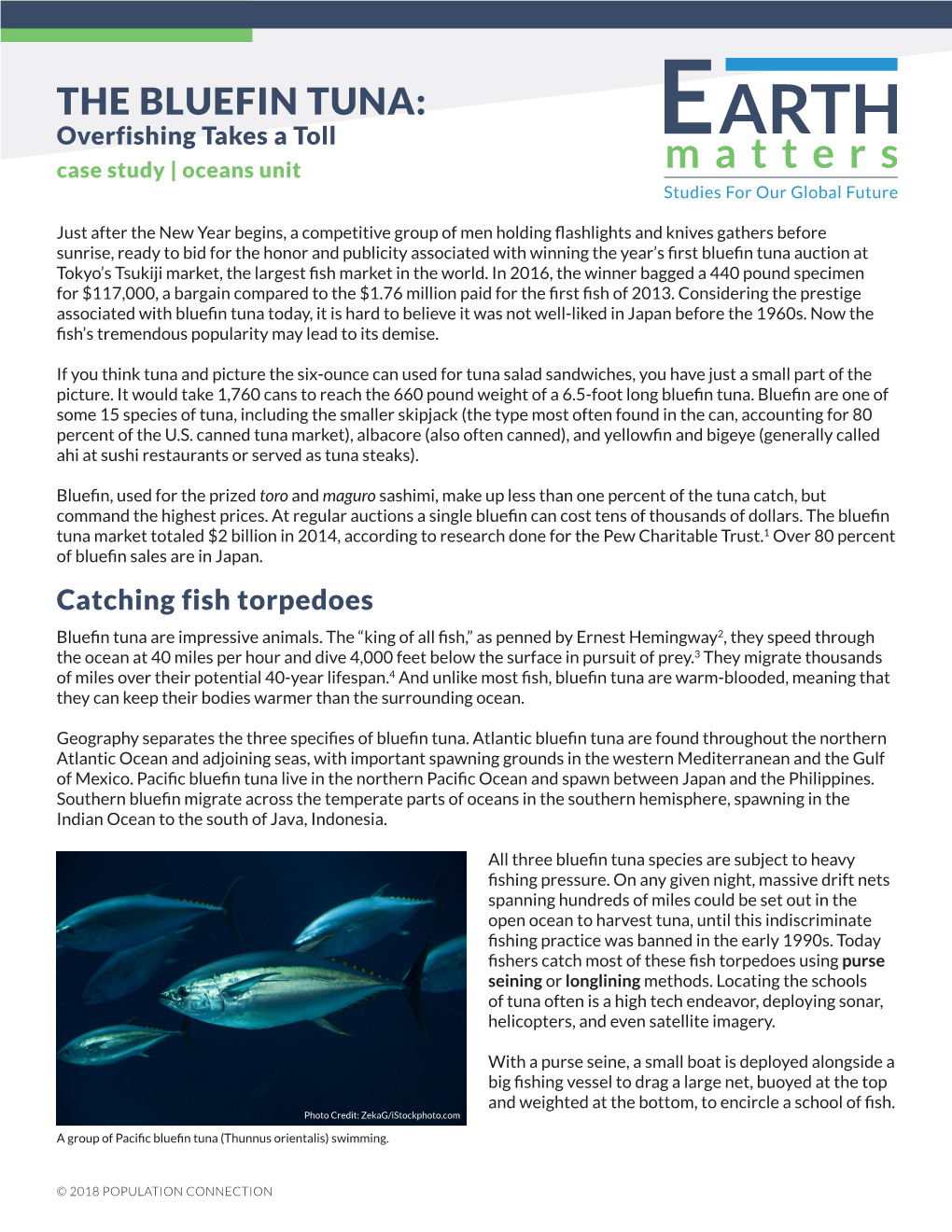 THE BLUEFIN TUNA: Overfishing Takes a Toll Case Study | Oceans Unit ...