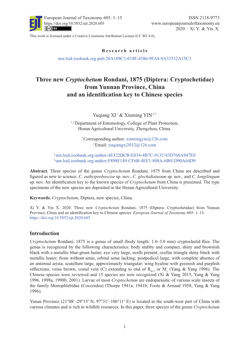 Three New Cryptochetum Rondani, 1875 (Diptera: Cryptochetidae) from ...