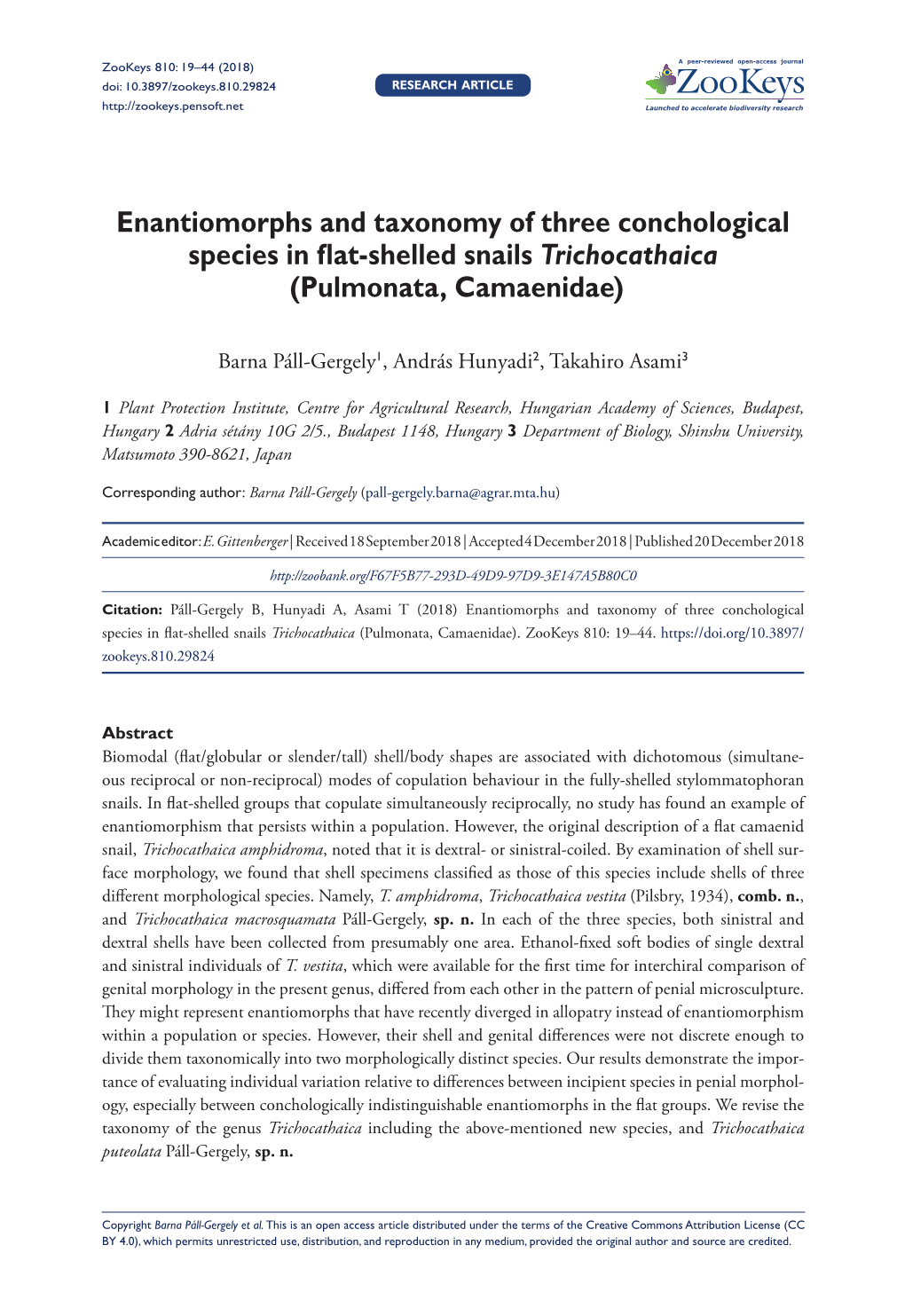 Enantiomorphs and Taxonomy of Three Conchological Species in Flat ...